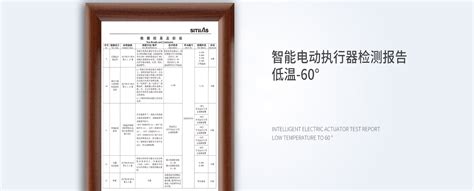 电动执行器智能电动装置浙江罗托克执行器股份有限公司