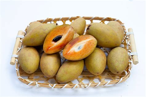 흰색 배경에 신선한 사포딜라 과일 0명에 대한 스톡 사진 및 기타 이미지 0명 갈색 과일 Istock