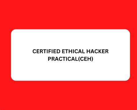 Do Network Penetration Testing And Web Application Vulnerability