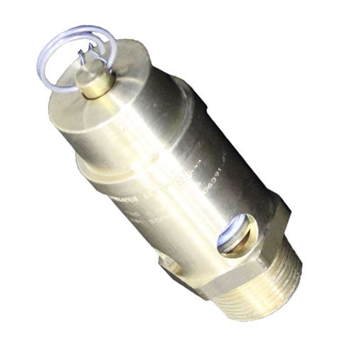 Air Pressure Relief Valves 150psi 1 Npt Brass Srv765 10 150 — Rysx