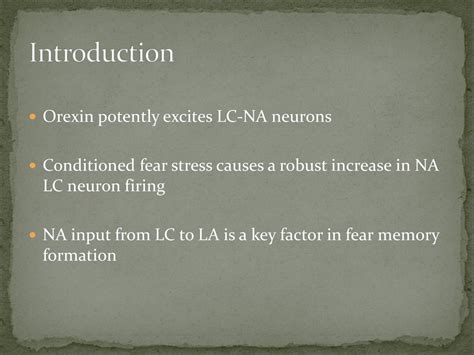 Orexin And Fear Memory Luke Ppt Download