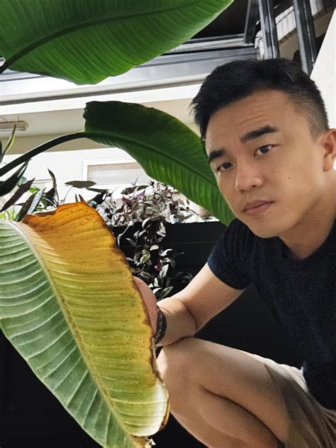 拜託你們一定要好好活下去 植物搶救大作戰 網路爬文了一下 天堂鳥感覺是菌感染網路說放點生辣椒 越安香菜一夜之間垂到快斷氣了先浸泡