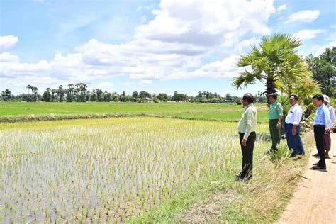 တပ်ကုန်းမြို့၌ သီးနှံစိုက်ပျိုးမှုအဆင်ပြေစေရန် မြို့နယ်စီမံအုပ်ချုပ်ရေးအဖွဲ့ဥက္ကဋ္ဌမှ တောင်သူမ