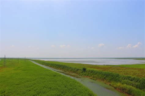南昌南矶山自然保护区湿地风光 沼泽湿地 自然风景 摄影素材 汇图网www huitu