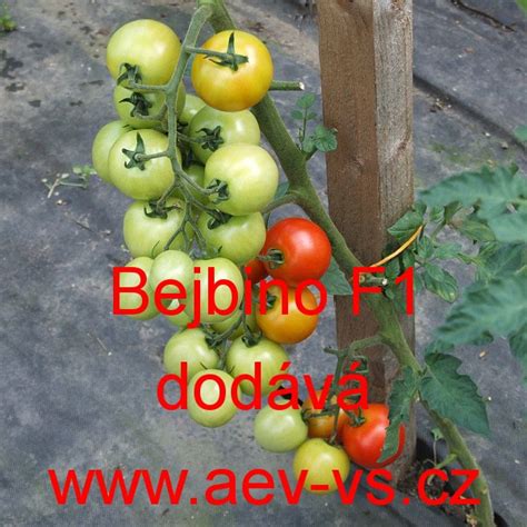 AEV-VS - Rajče tyčkové hybridní Bejbino F1