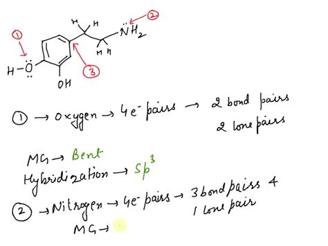 Solved For The Following Molecules Provide 1 The Correct 3 Dimensional Molecular Structure