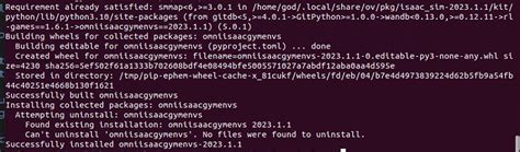 Error When Running Omniisaacgymenvs Example Isaac Sim NVIDIA Developer Forums