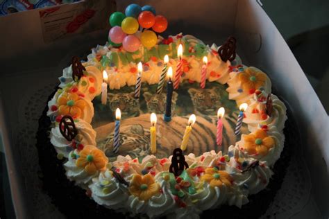 무료 이미지 꽃 디저트 요리 생일 축하 생일 케이크 여자애들 행복 착빙 풍선 파티 구운 식품 Torte