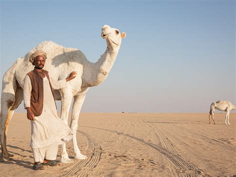 Killer Mines In Kuwait Keep Gulf War Alive And Deadly In Pictures