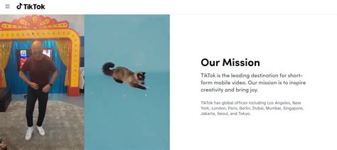 How Much Does Tiktok Pay You For Million Views Pay Per View Guide Moneymint