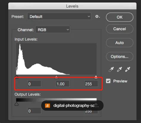 Which Interface Corresponds To The Color Scale Function In Photoshop