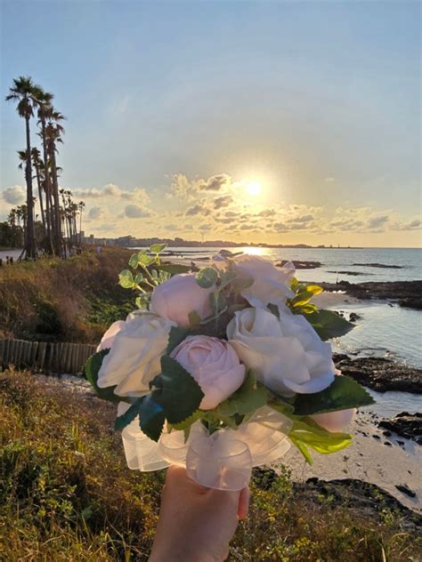 제주 서쪽 셀프촬영하기 좋은 장소 성이시돌목장 협재해수욕장 애월봄날카페 송악산 둘레길 도두봉 키세스존 제주신라호텔 새별오름 삼각대추천