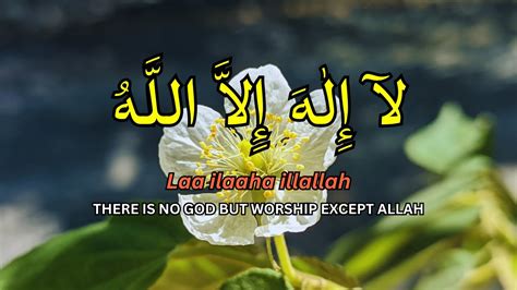 Daily Dzikir To Ease Anxiety Lailahaillallah Youtube