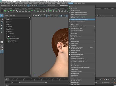 xgen export autodesk community