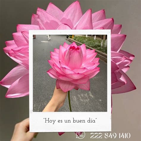 La Chata Botanas Y Bebidas Lachatabebidas • Instagram Photos And Videos