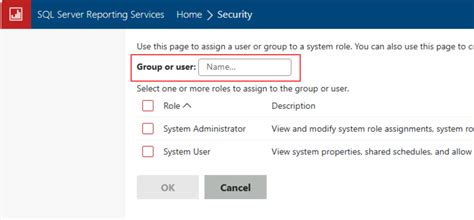 授予用户对报表服务器的访问权限 Sql Server Reporting Services Ssrs Microsoft Learn
