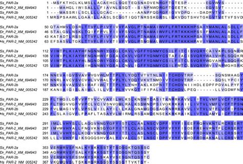 Multiple Alignments Of Deduced Par 2 Amino Acid Sequences From Atlantic