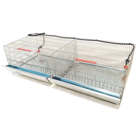 Cușca Pui Prepelite 120 Cm