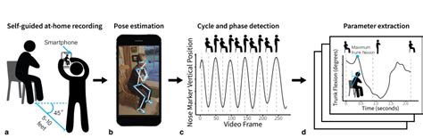 At Home Videos To Assess Musculoskeletal Health