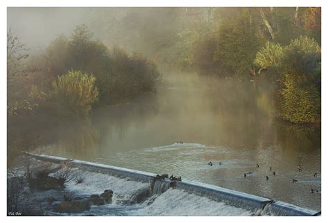Séquence Photo Avec Patrick Boe Le Café Pluche