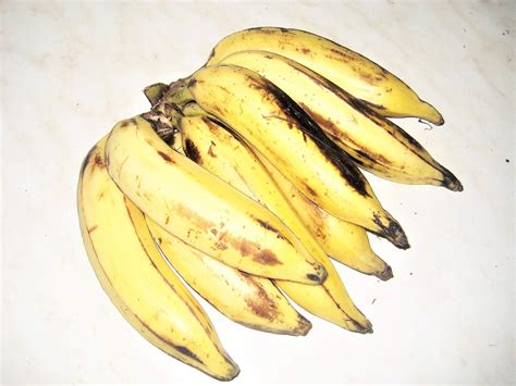 Chillatai Kerala Nendran Banana Live Plant Rhizome Varity Not Tissue