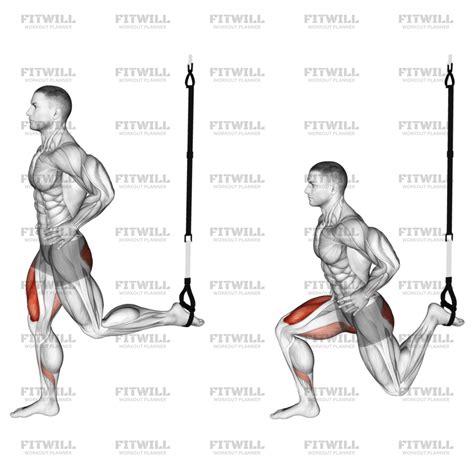 Suspended Split Squat Exercise Guide Video Techniques Benefits How