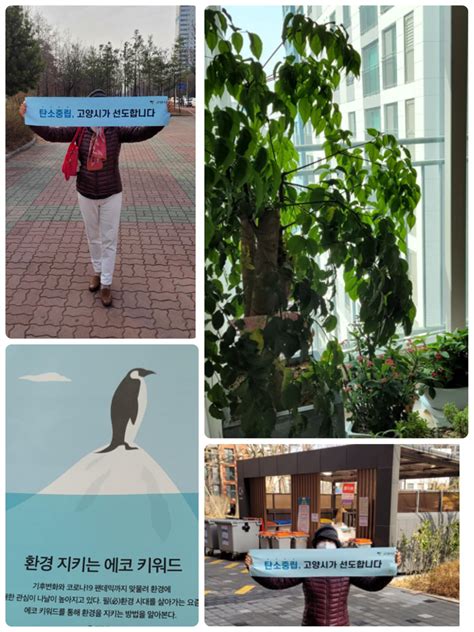 고양시 탄소중립 친환경을 넘어 필환경 시대 전 세계 쓰레기 배출량0를 지향하는 제로웨이스트