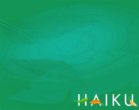 Would Like A New Wallpaper With Haiku Logo Help Haiku Community
