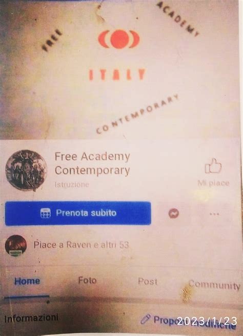 Gatto Rosso Free Academy Contemporary Paolo Macchi Appunti Di