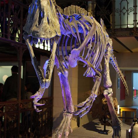 10 Facts About Cryolophosaurus