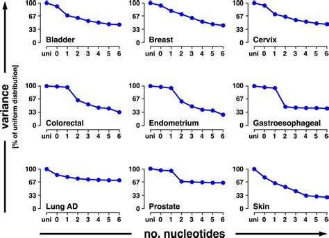 Extended Nucleotide Contexts Contribute To The Performance Of The