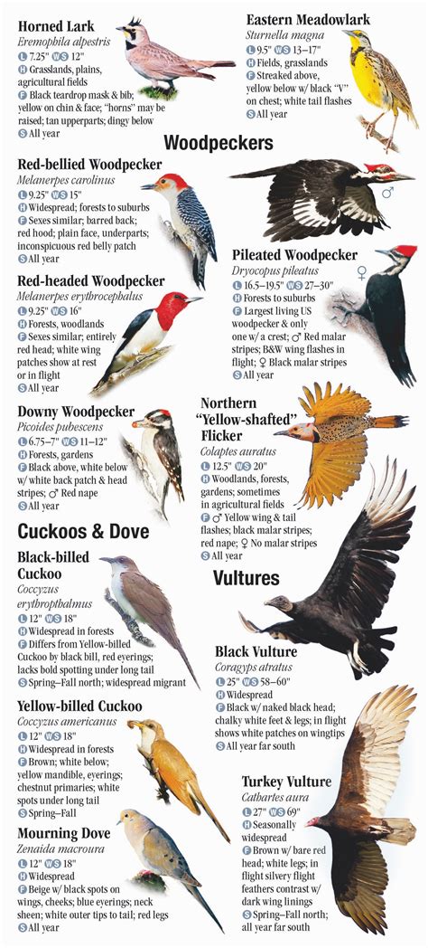 Birds Of Missouri Quick Reference Publishing Retail