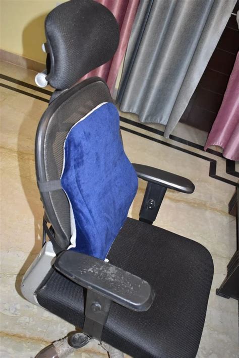 Standard Fabric Lumber Chair Support Blue At Rs 390 In Ghaziabad Id