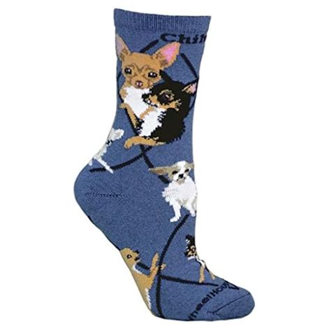 Chi Petss Amazon Page