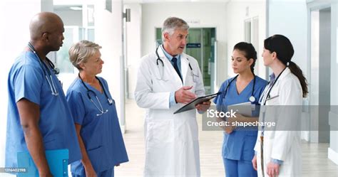 병원 복도에서 그의 다양한 의료 팀과 자신의 메모를 논의 하는 고위 의사의 샷 병원에 대한 스톡 사진 및 기타 이미지 병원