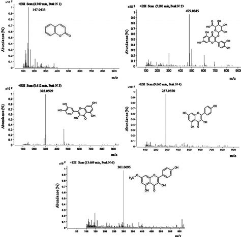 Extract Ion Chromatogrammass Spectra Of Each Protonated Molecule