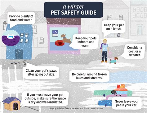 Keep Your Pets Safe This Holiday Season With Our Winter Pet Safety Guide