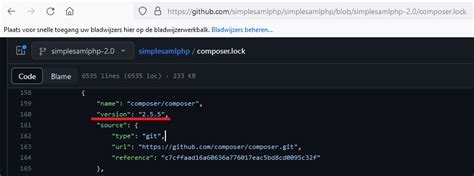 Composer 230 Is Vulnerable Update Composer Version Used For