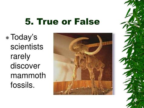 Ppt Woolly Mammoths Powerpoint Presentation Free Download Id5326658