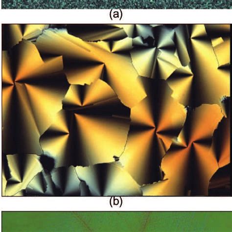 Pdf Morphology Of Open Films Of Discotic Hexagonal Columnar Liquid Crystals As Probed By