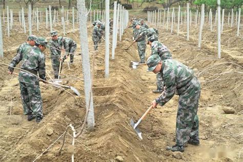 河北迁西：滦阳镇铁门关村民兵连勇当乡村振兴主力军建设