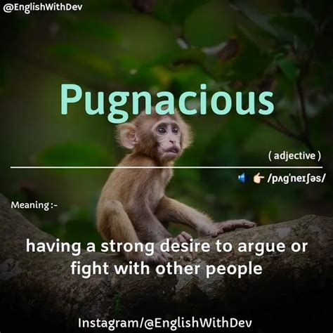English Vocabulary On Instagram 𝗪𝗼𝗿𝗱 𝗼𝗳 𝘁𝗵𝗲 𝗱𝗮𝘆 Pugnacious 👇 𝗣𝗿𝗼𝗻𝘂