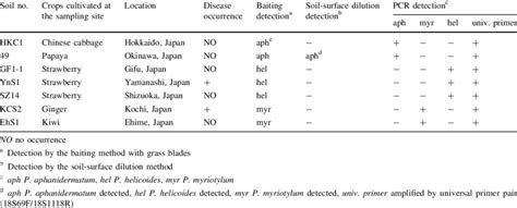 Detection Of Pythium Aphanidermatum P Helicoides And P Myriotylum In
