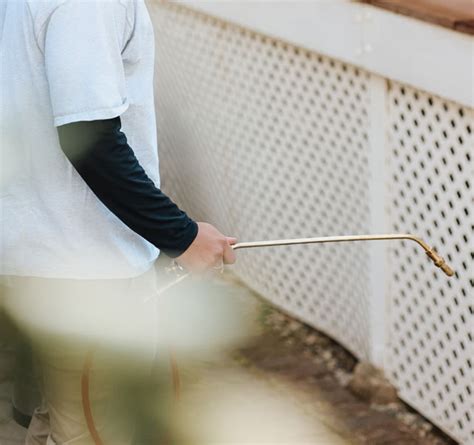 Pest And Rodent Control Bi State Pest