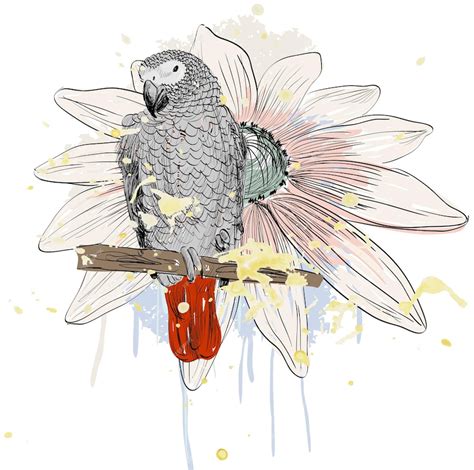 Premium Vector Parrot