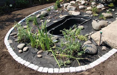 How To Build A Pond Step By Step With Pictures