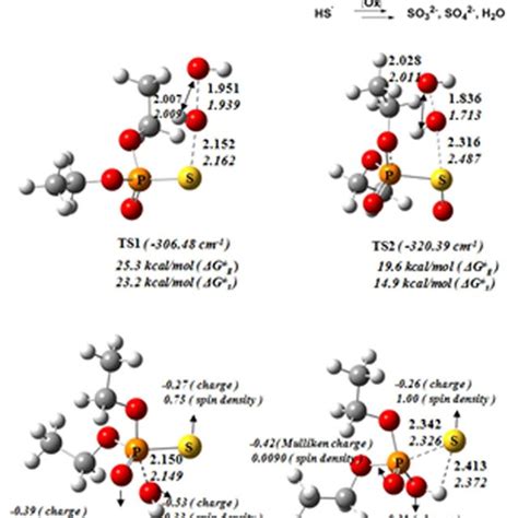 The Ph And Po Pathways Transition Structures And Energy Diagram Of Download Scientific