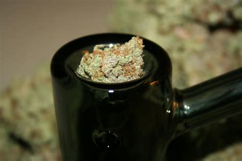 Marley Natural Smoked Glass Bubbler Caliconnected