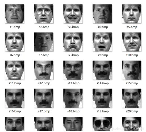 试使用matlab的pca函数对yale人脸数据进行降维，并观察前20个特征向量对应的图像 试编程实现pca算法并对yale人脸数据集进行降维并观察前20个特征向量对应的图像 csdn博客