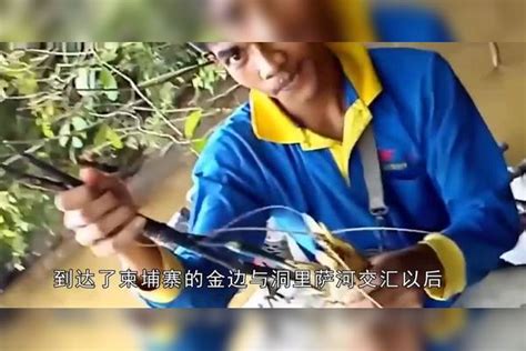 越南罗氏虾泛滥，数量暴涨个头近1斤种，网友大喊“为民除害”
